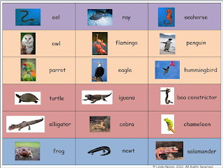 Primary Inspiration: Free Animal Classes Reference Chart