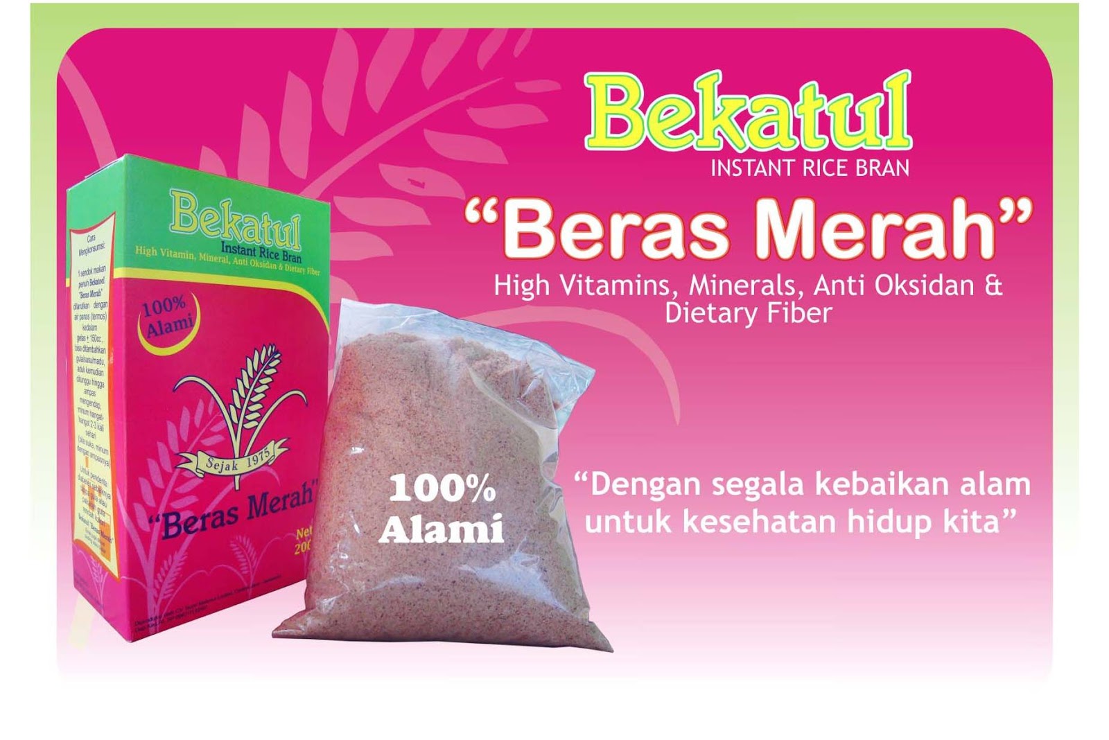 21 Khasiat dan Kandungan Bekatul Rice Bran - Obat Sakit 2011
