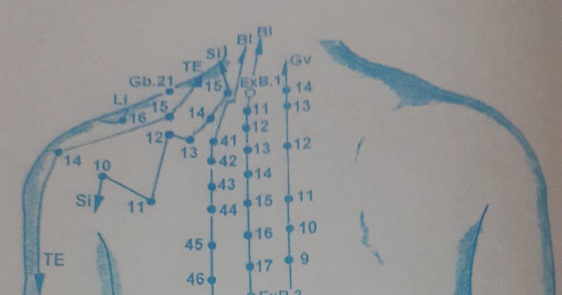 Pijat Urut Kelapa Gading: Titik Yao Yan Vs Sirkulasi Darah dan Ginjal