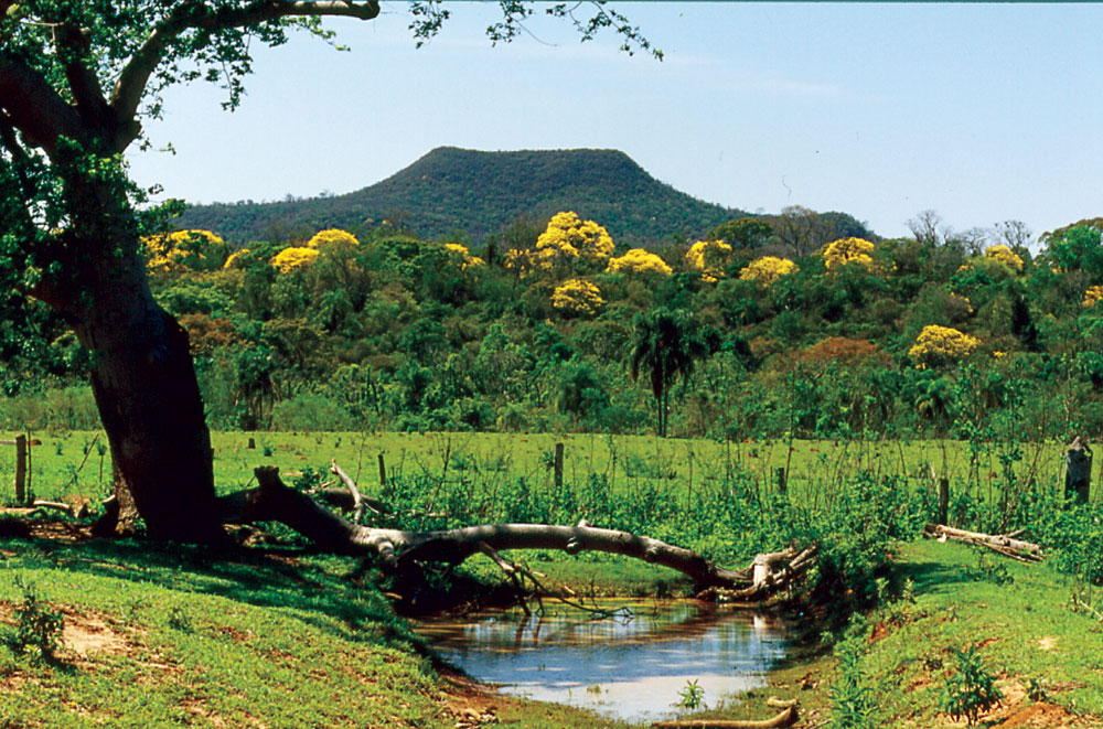 Ciências Humanas - CEEJA "PROFº JOÃO SEGURA" - PENÁPOLIS(SP ...