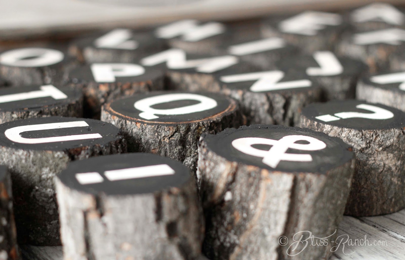 Bliss Ranch: Tree Branch Alphabet Art
