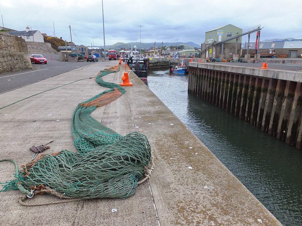 Irish Wildscapes: Around Kilkeel Harbour