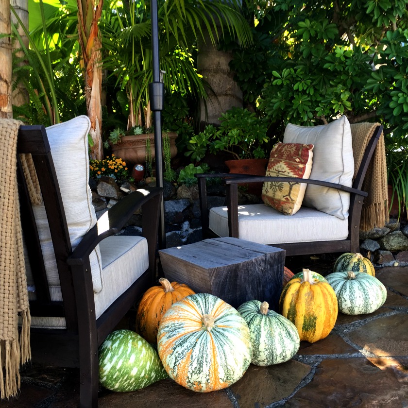 Tamera Beardsley: Fast and Easy October Decor