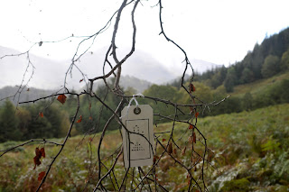 còmhlan bheanntan | a company of mountains: overview