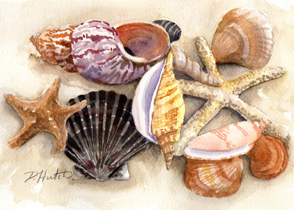 Diane's Art Stuff: Shell paintings in watercolor