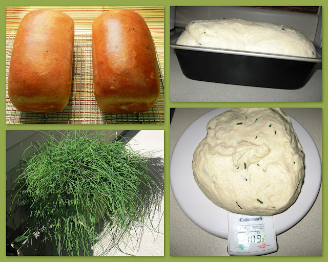 The Iowa Housewife: Family Favorites - Buttermilk Chive Bread