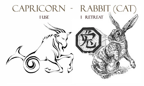 Capricorn Rabbit Personality Traits | Capricorn Life - Capricorns Rock!