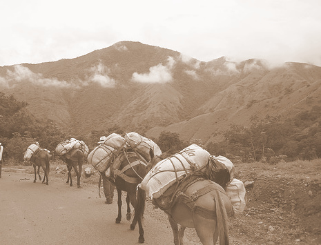 danza de arrieros: El arriero José.