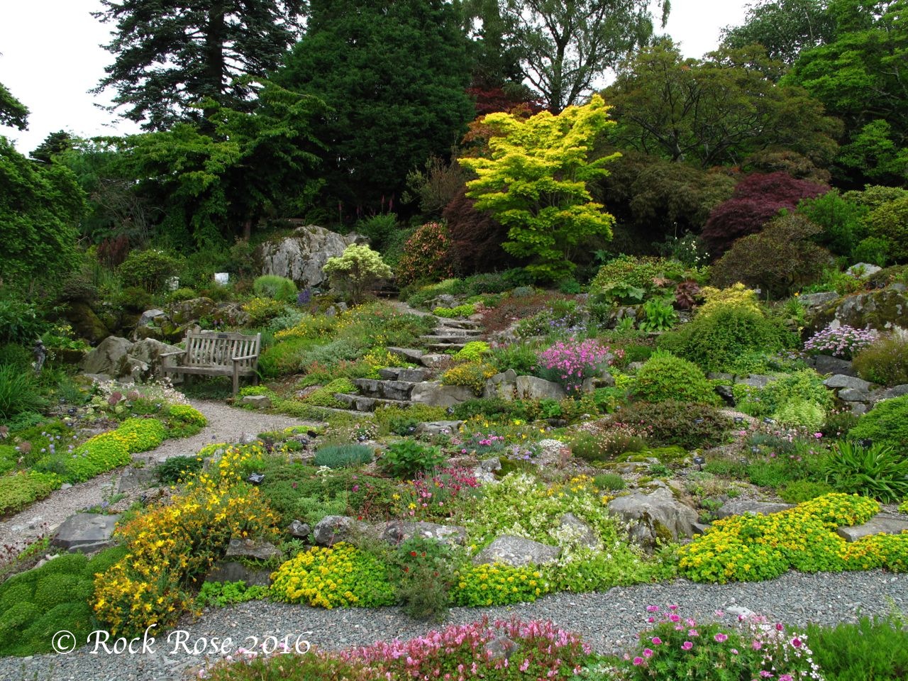All The Popular Rock Gardens