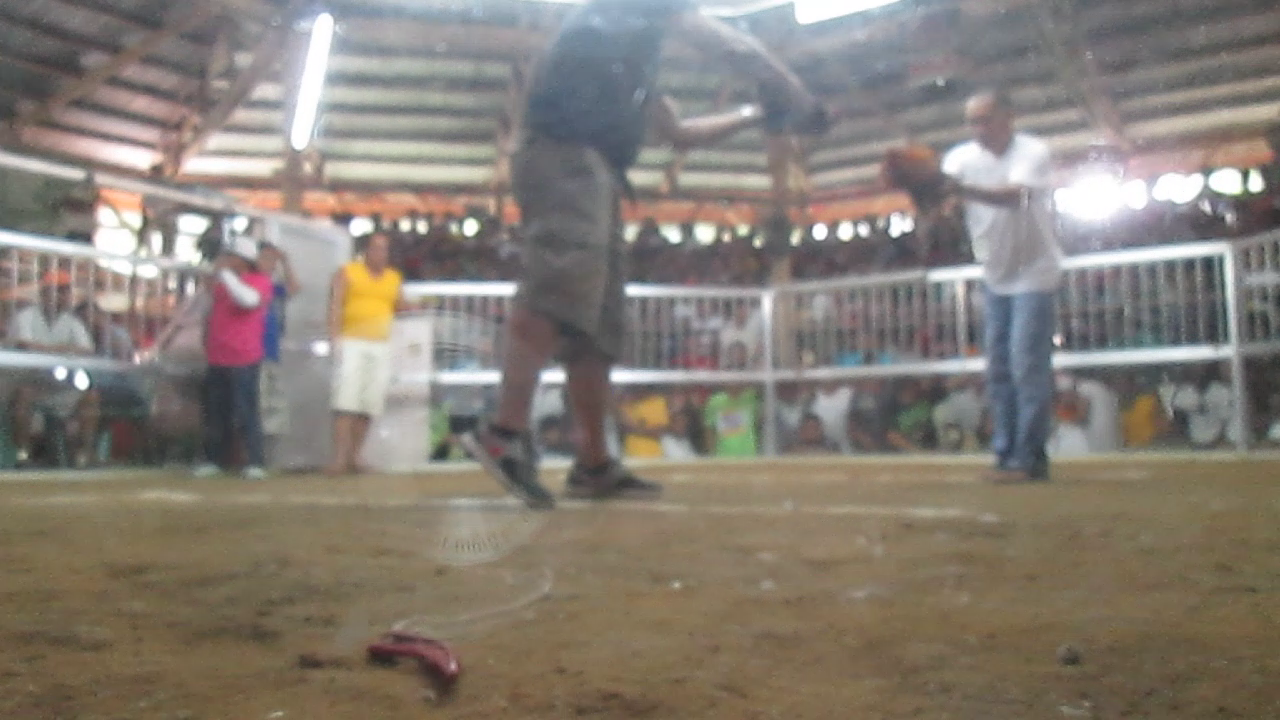Sabong Pilipinas Fights - Calape Cockers Arena, Bohol Fight # 17 ...
