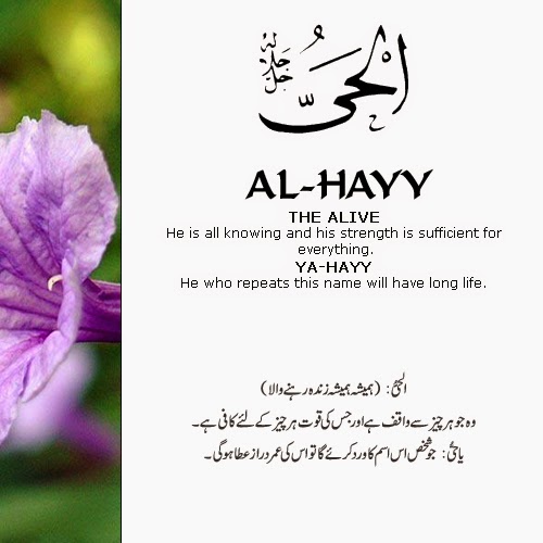 The 99 Beautiful Names of Allah with Urdu and English Meanings: 59- AL-HAYY