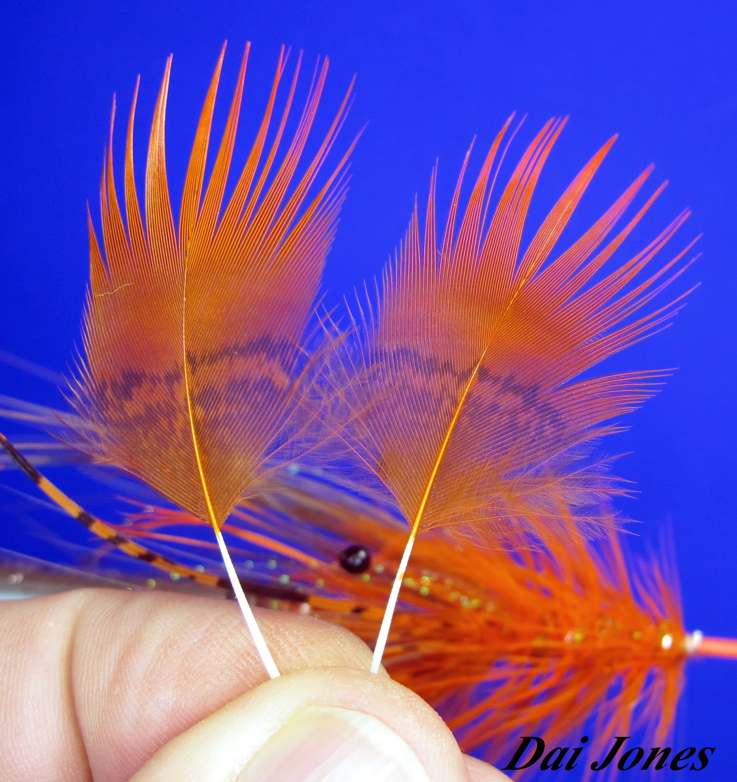 Flies step by step: Prawn tube, step by step.