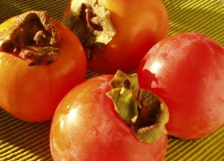 Bago de Romã: "Conhecer melhor"...o Dióspiro!!!