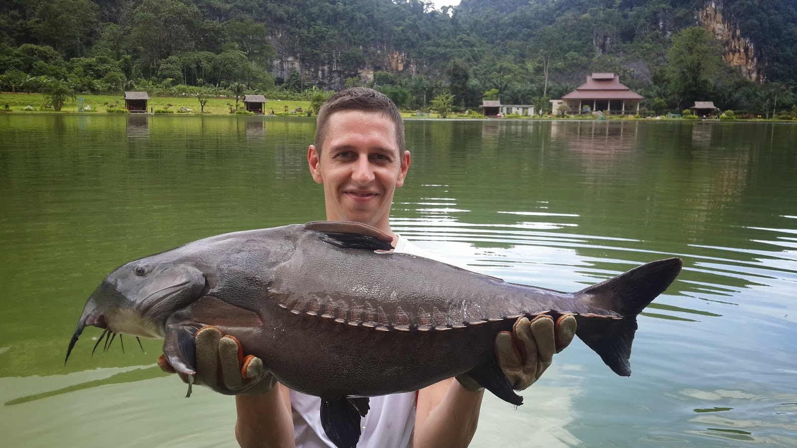 EXOTIC FISHING THAILAND: SENSATIONAL SNAKEHEAD in SEPTEMBER