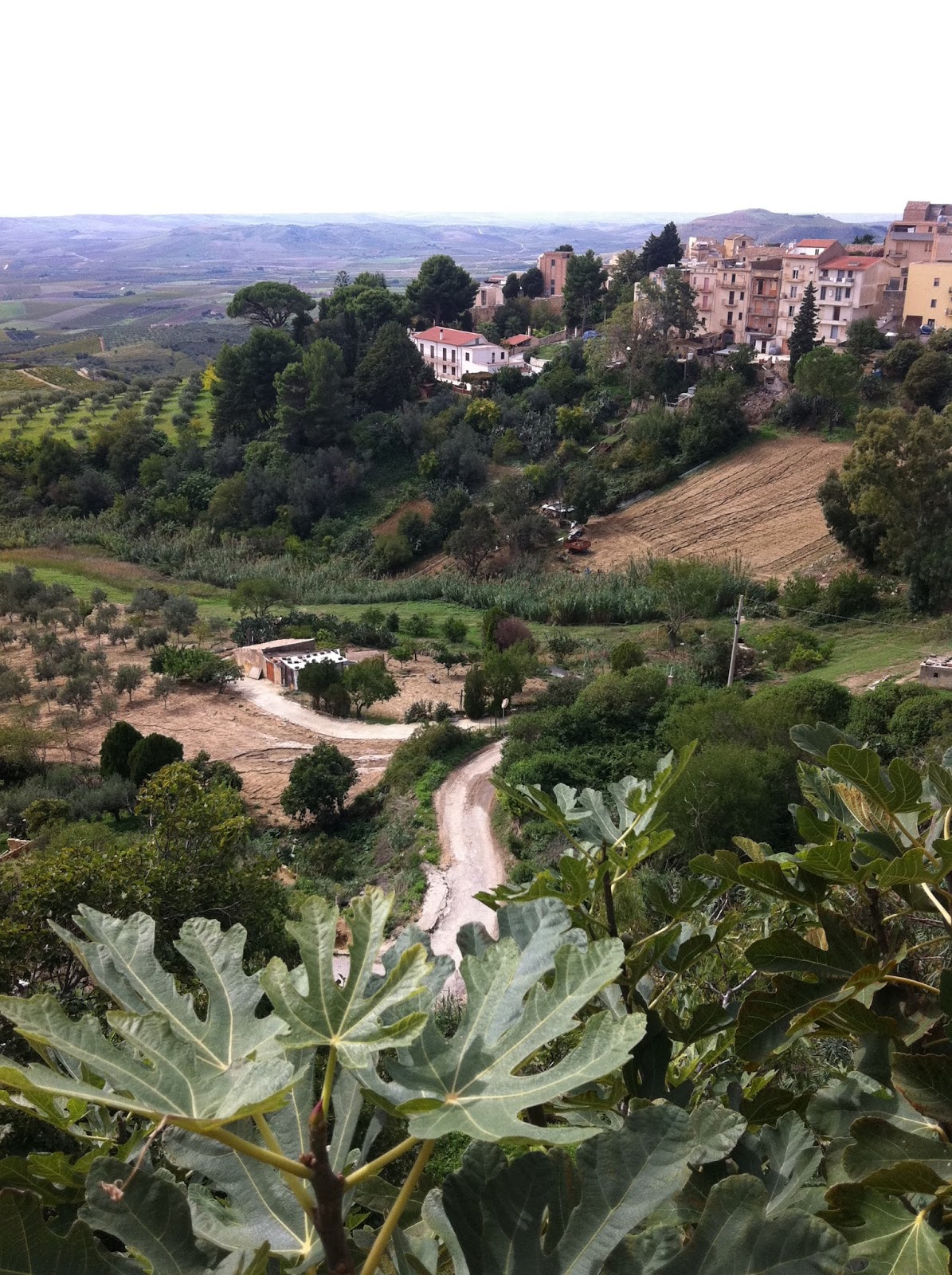 Melissa on the road: Salemi, Sicilia