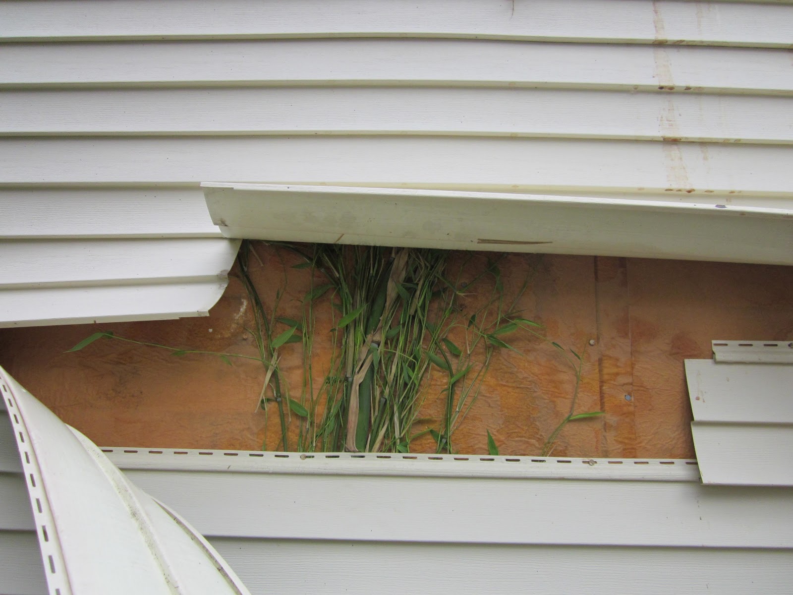 Freelance Investigations: