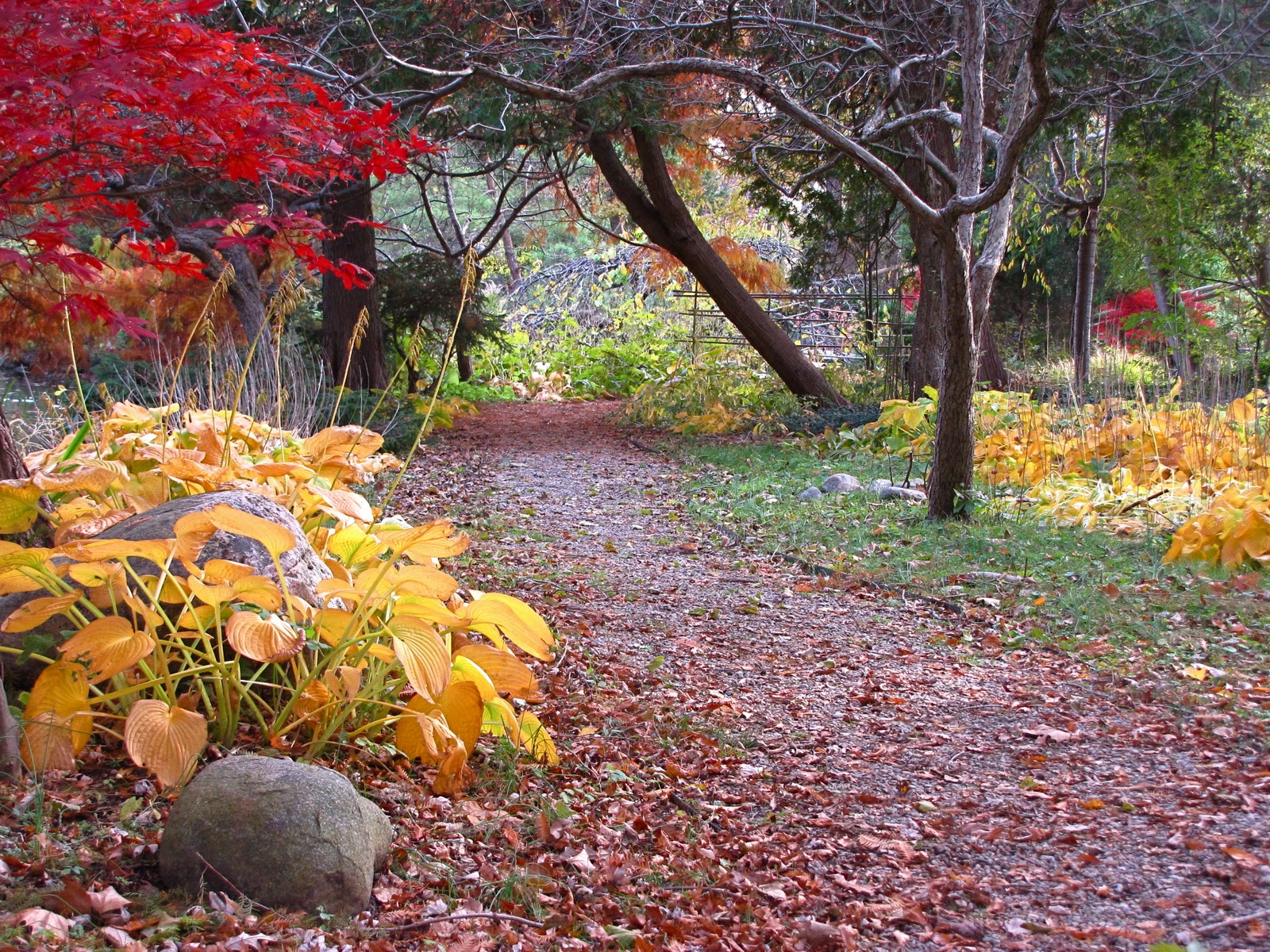 spring and fall hopkins