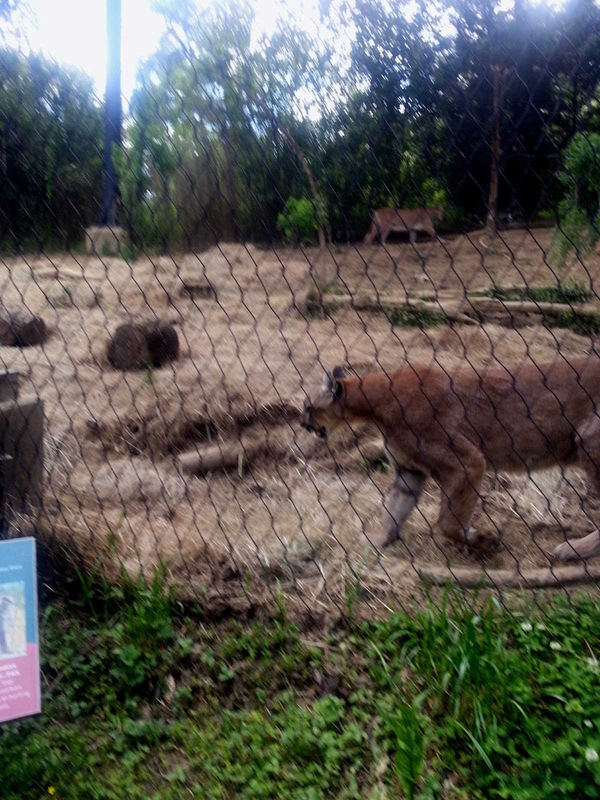 Rockhounding Around: Jackson Zoo, Jackson Mississippi