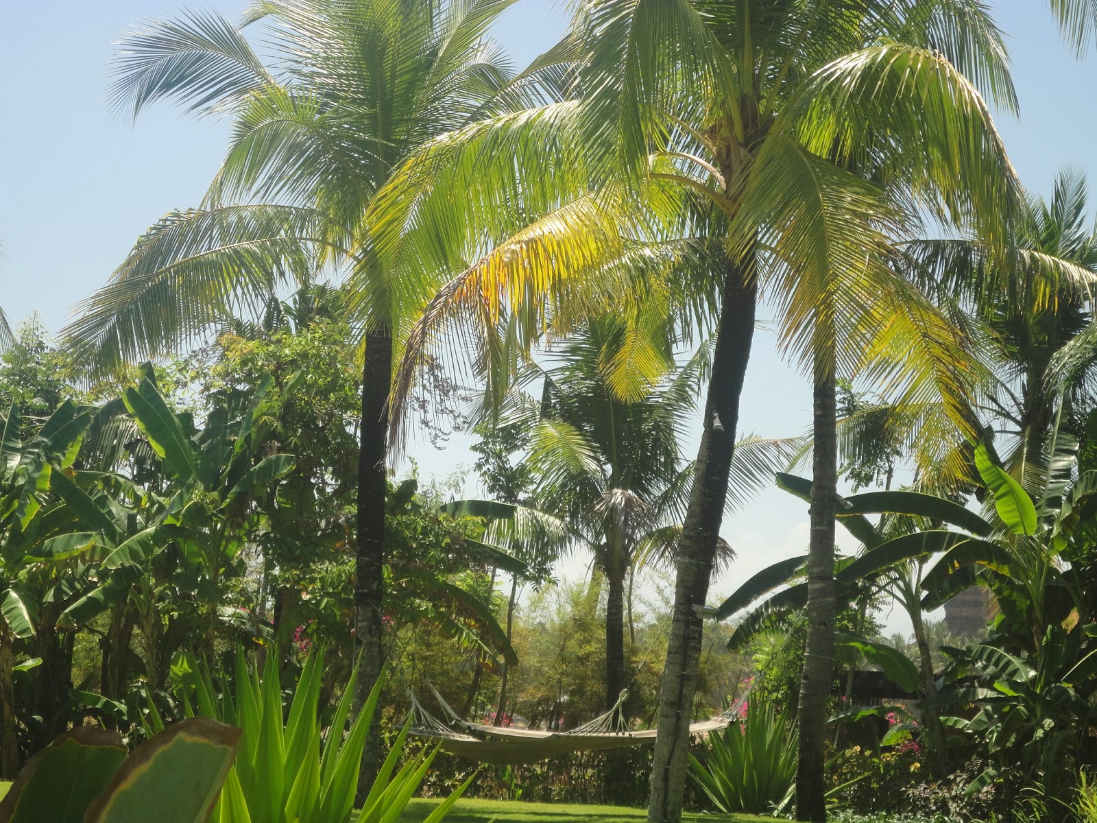 Adorable exotic landscapes | Zoe gathi