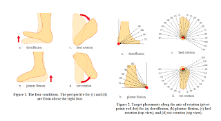 CSCE 436 Blog: Blog #10: Sensing Foot Gestures from the Pocket