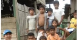 Parasitología: Amphimerus: Mecanismos de acción patógena y cuadro clínico