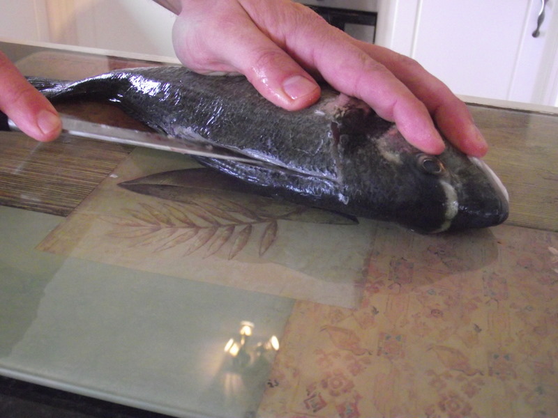 Calso Cooks from the Sustainable Larder: Fillet and pin-boning a fish