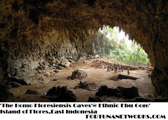 The Mystery of 'The Homo Floresiensis Ebu Gogo'from Flores Island,East ...