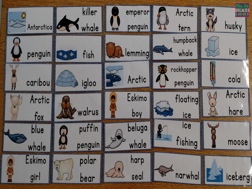 Polar Animals Unit Ideas · Mrs. P's Specialties
