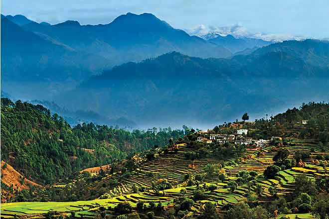 History of Pashtuns: Daud Khan Rohilla