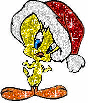 Mundo D´ Imagenes: Fotos de Piolin en Navidad