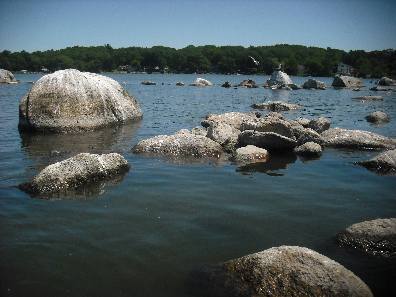 Secret Landscapes: The Island in South Watuppa Pond