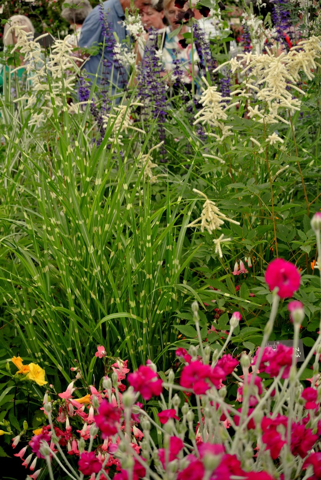 HAVETID: Engelske haver 4. del.