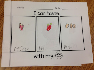 My 5 Senses - The Primary Post