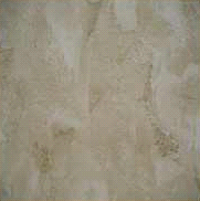 Paint Your Life! - Paint Your Home!