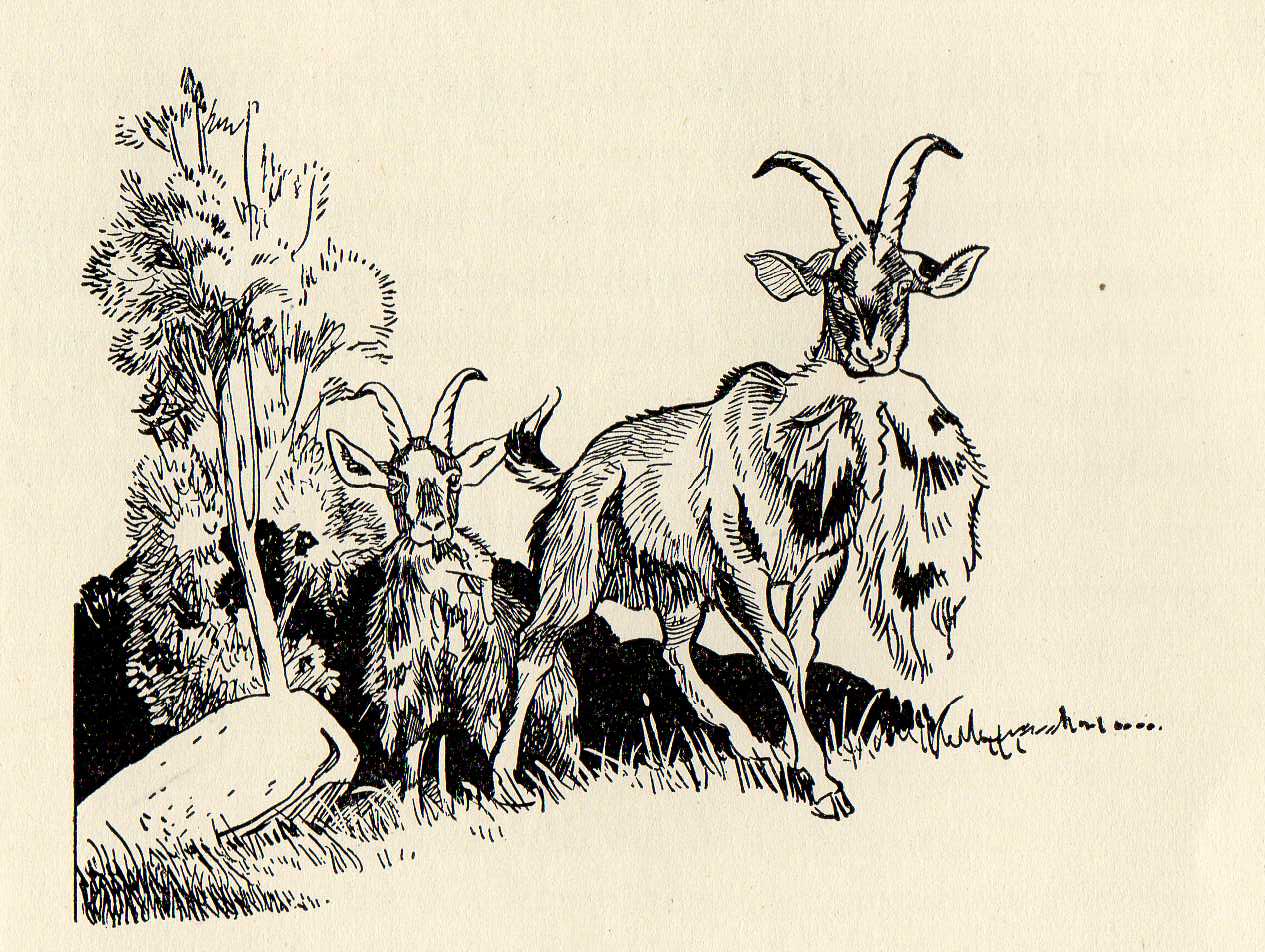 Raymond Sheppard and Patrick by Diana M. Buttenshaw