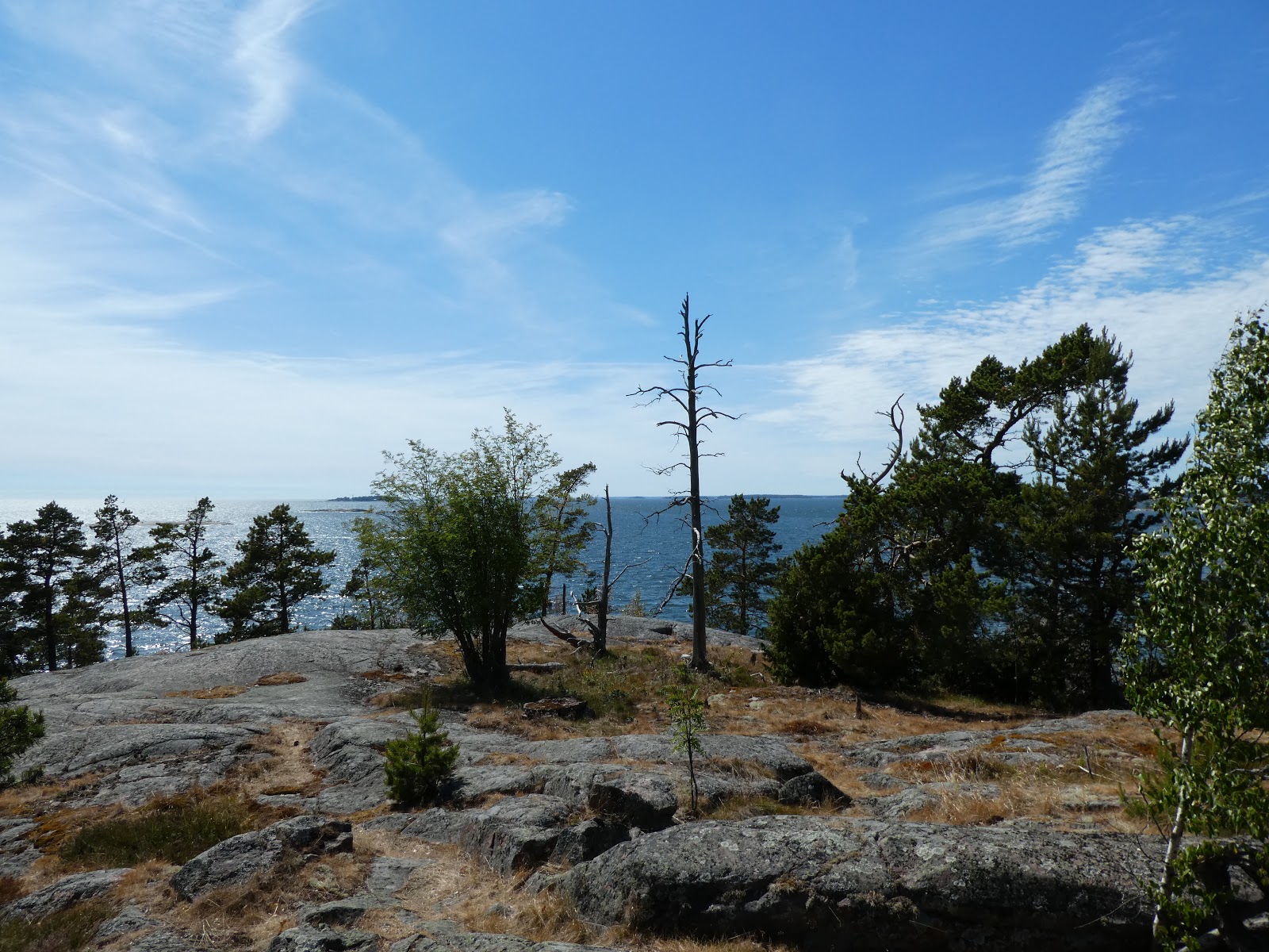 Sivusilmällä: Melkki – saari, joka pelastui