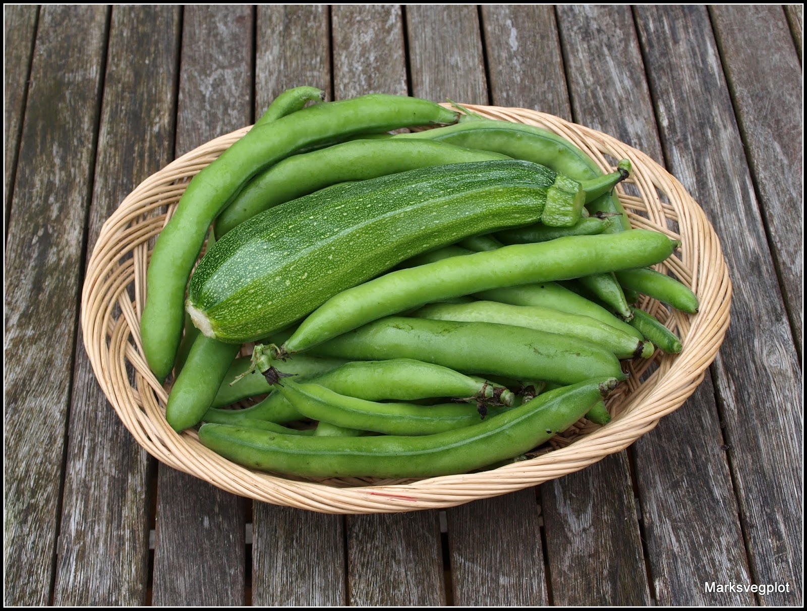 Mark's Veg Plot: Last and first