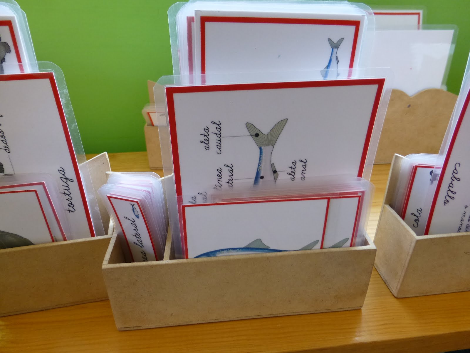 DESMONTANDO LA LECTOESCRITURA | Capítulo 6: El método Montessori ...