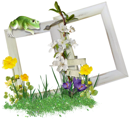 ForgetMeNot: Cluster spring frames