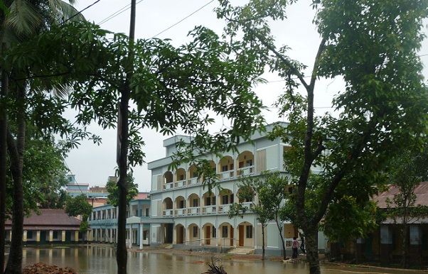 Homna - Comilla: Debidwar Upazila Comilla image collection | Part 2