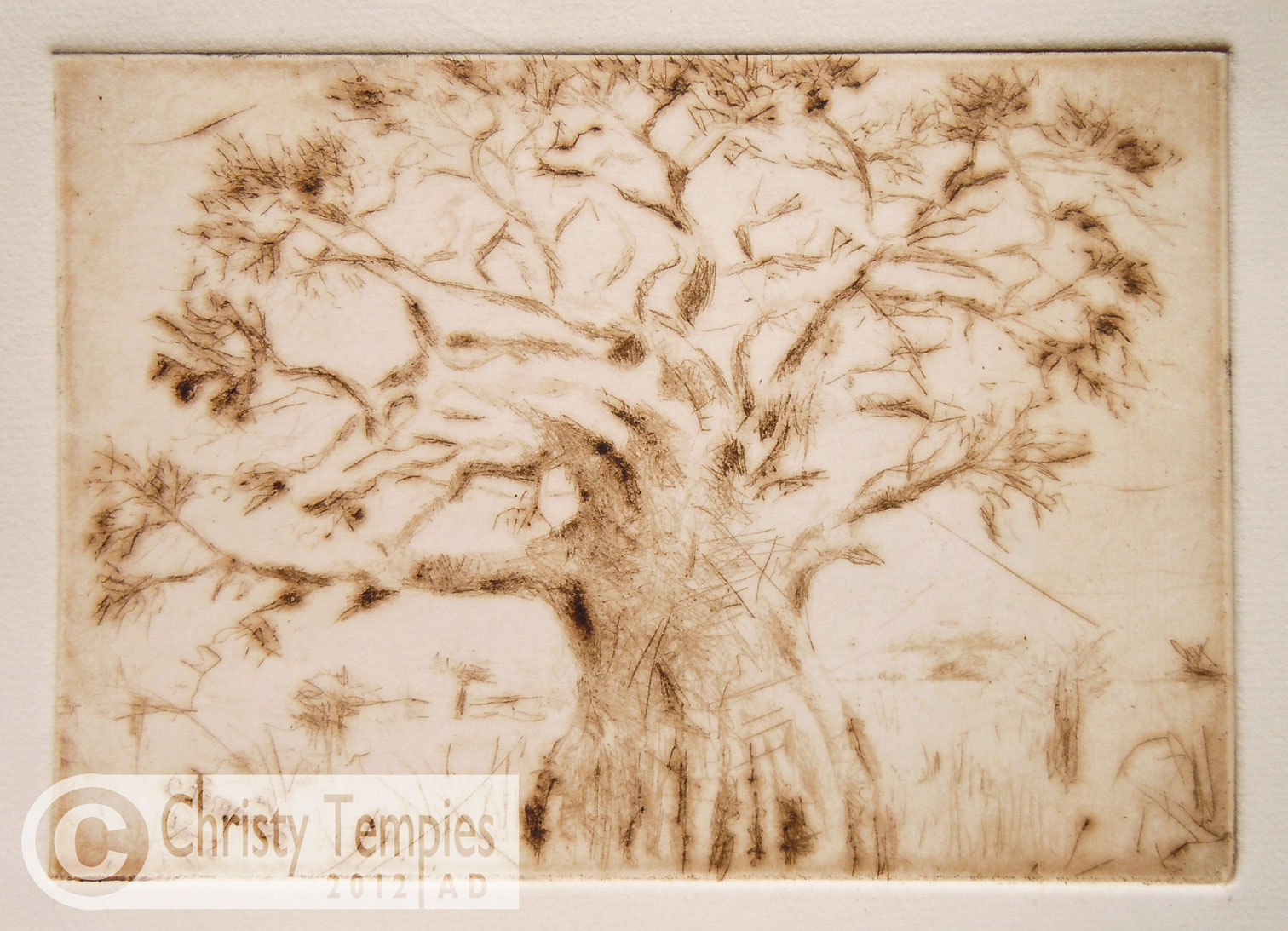 Christy Tempies (Artist): Dry Point Etching and Sketching