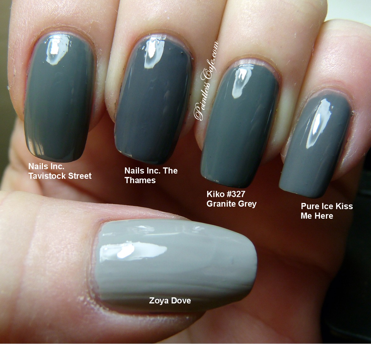 Comparison Request - Grey Cremes | Pointless Cafe