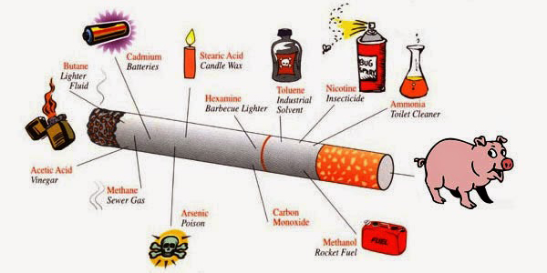 Benarkah Di Dalam Filter Rokok Mengandung Darah Babi ? | Sahabat Ummat
