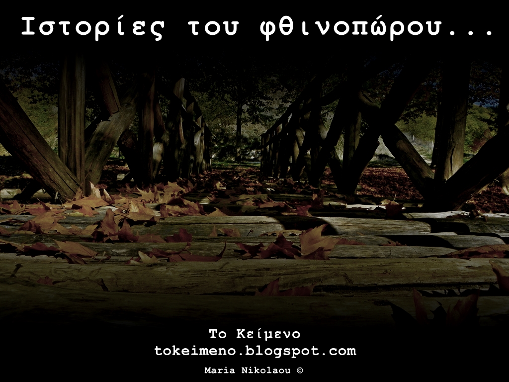 το Κείμενο: Ιστορίες του καλοκαιριού...