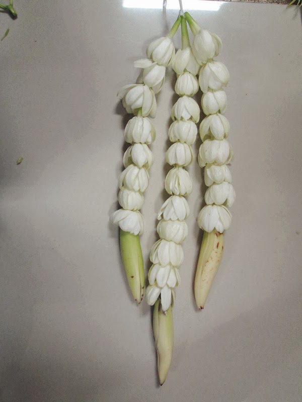 Tari Indonesia: MACAM-MACAM RONCEN MELATI