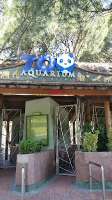 El blog de Rosalinda: Excursión al zoológico