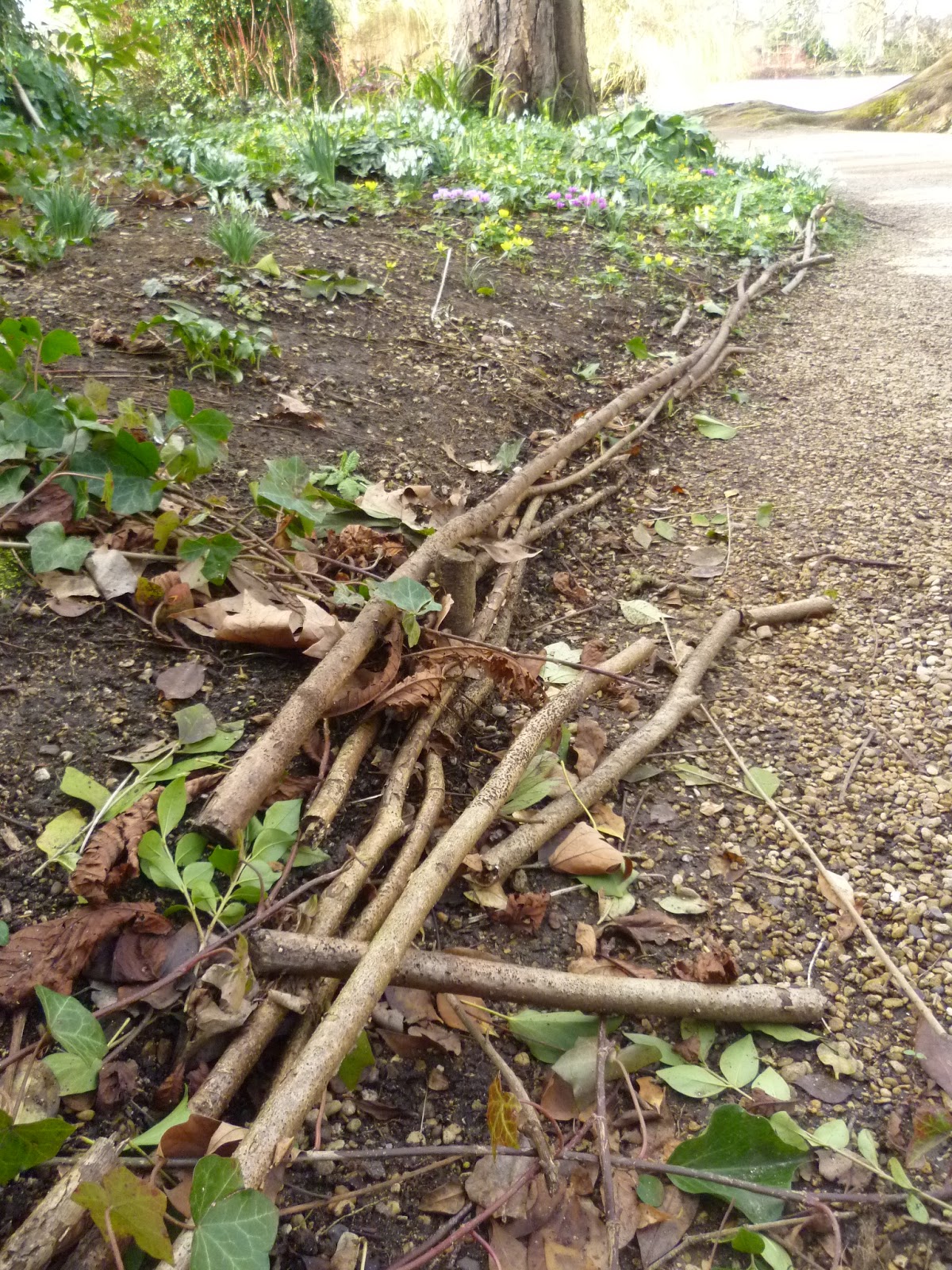 Worcester College Gardeners 2009-2018: Hazel Binders And Chestnut Stakes