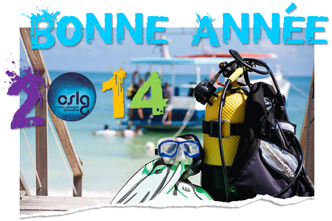 Meilleurs voeux et bonne année 2014