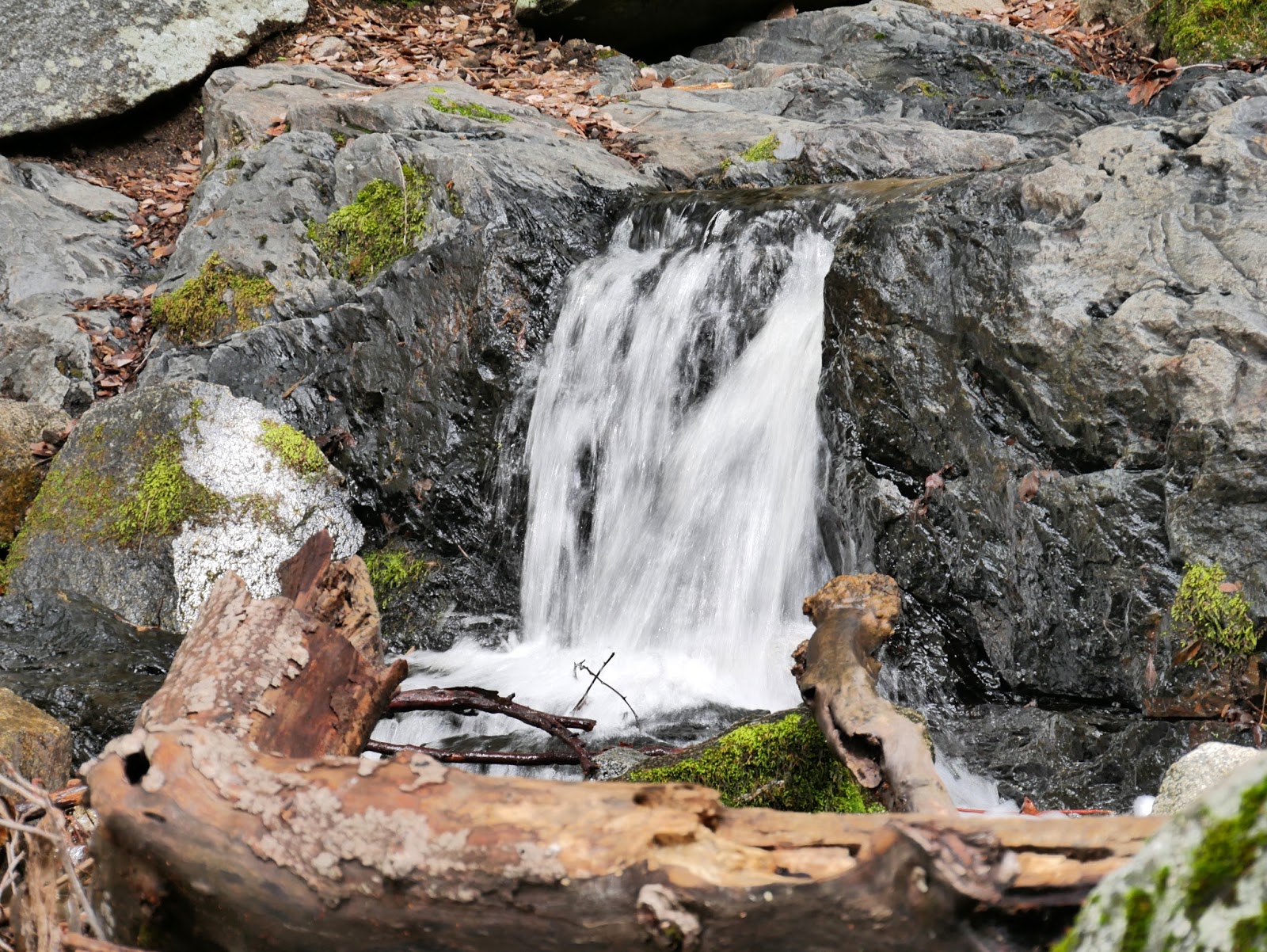 American Travel Journal: Big Fern Springs - Sequoia National Park