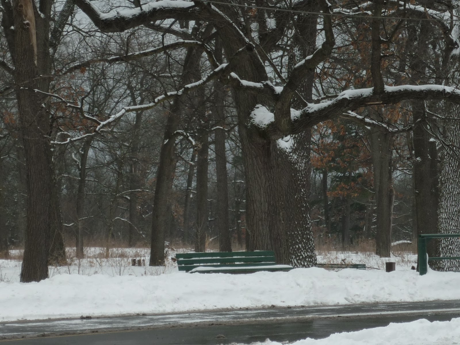 American voyages: The Natural Setting Of Toronto